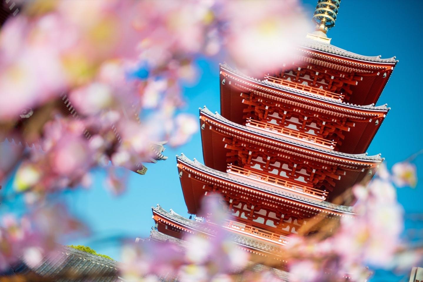 GIAPPONE - TOUR SAKURA ZENSEN