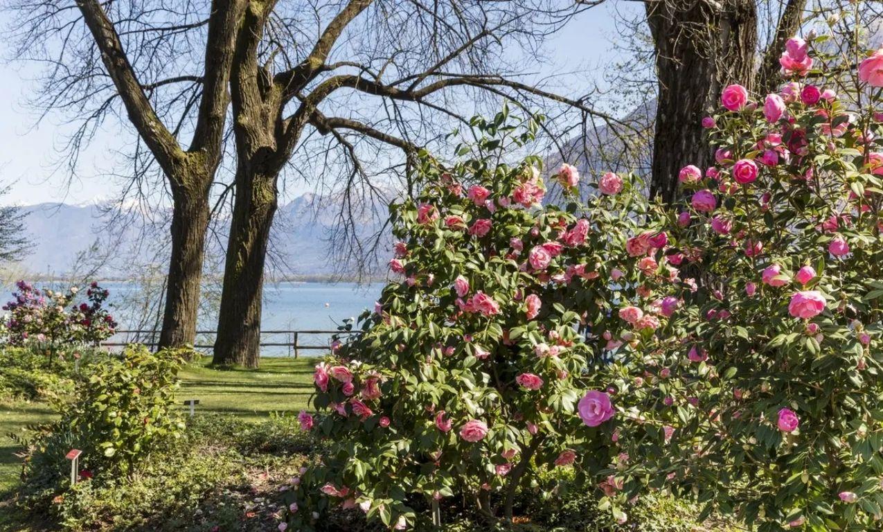 dettaglio vacanza - Losio Tour